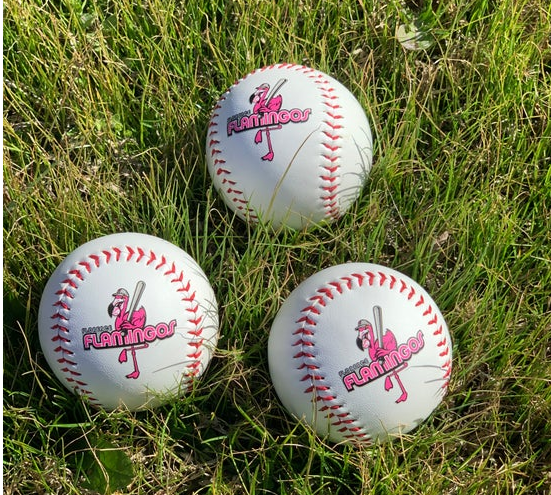 Novelties | Florence Flamingos